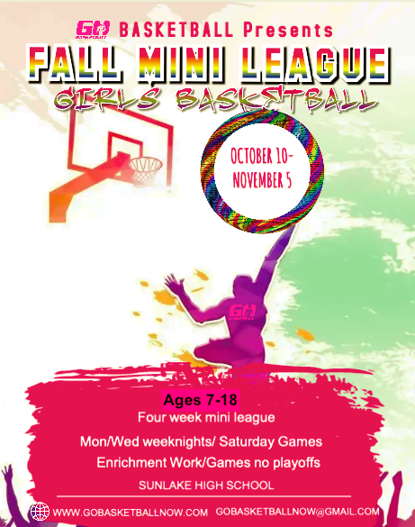 Products – GO Basketball